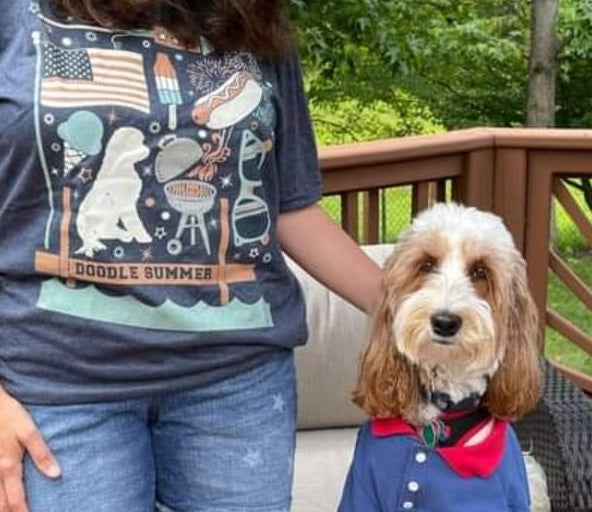 Calming Your Doodle During Fireworks: A Guide to Serenity – Barking Doodle